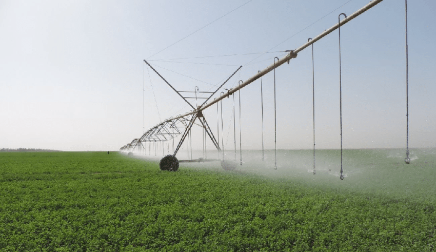 Rotating-pivot-irrigation-system-supplying-alfalfa-plants-at-AGAs-Waha ...